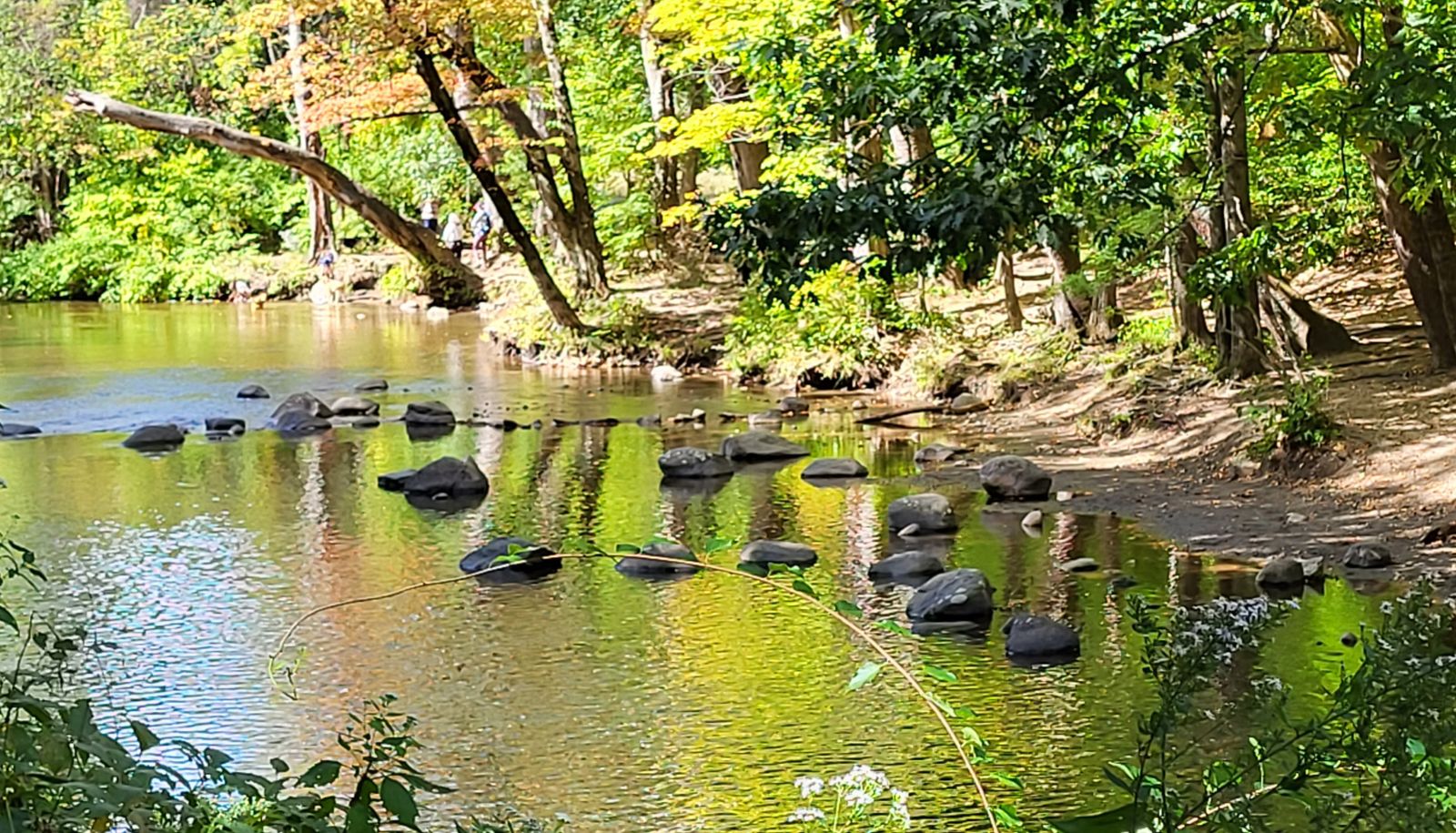 What makes you feel alive and refreshed? by Beth Tascione