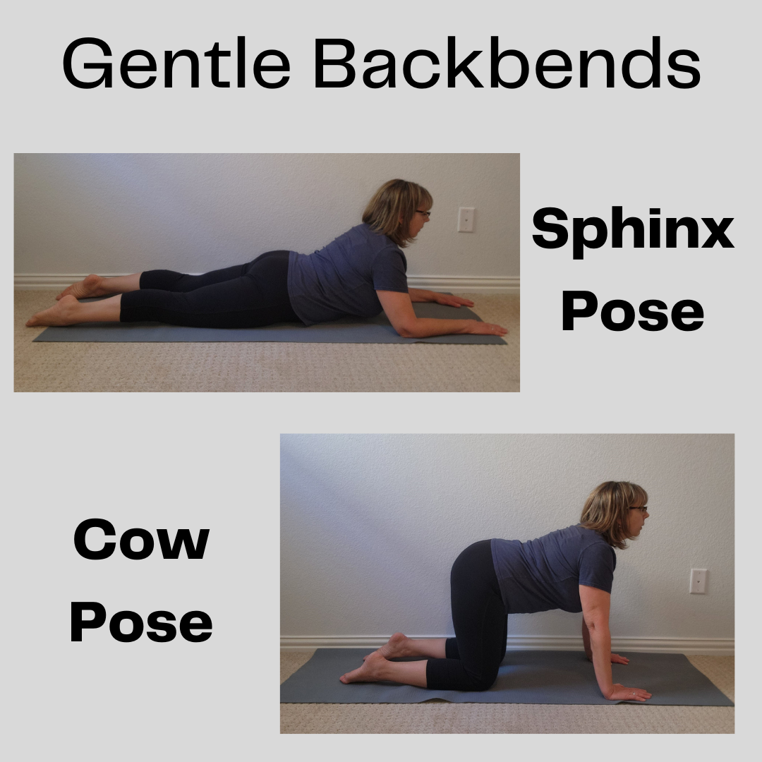 February 2023 - Backbends by Elizabeth Adolphson