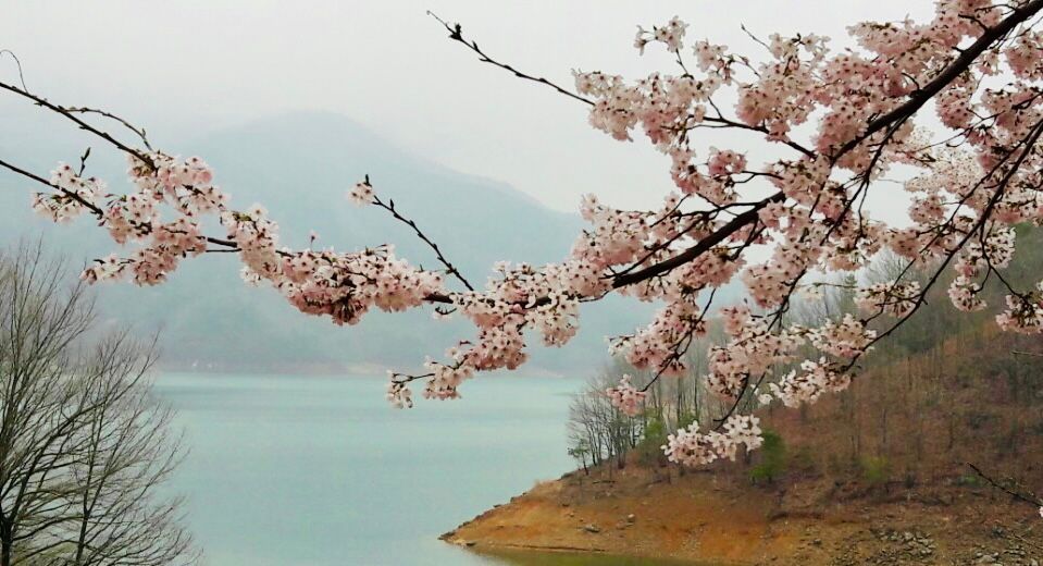 Spring Salutations by Chang Park