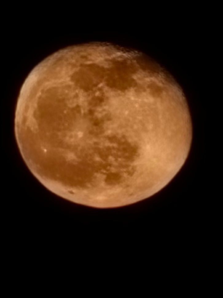 The Magic of Spring by Aimee LaRue