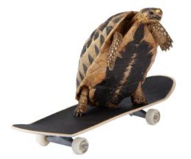 Fast and Slow Movement by Natalie Wieneroider