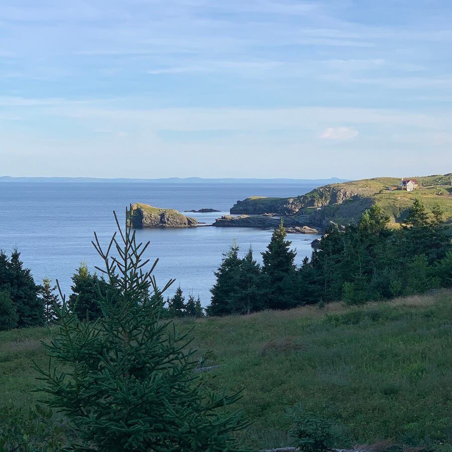 7 Reasons to Visit Newfoundland by Lita Mae Button