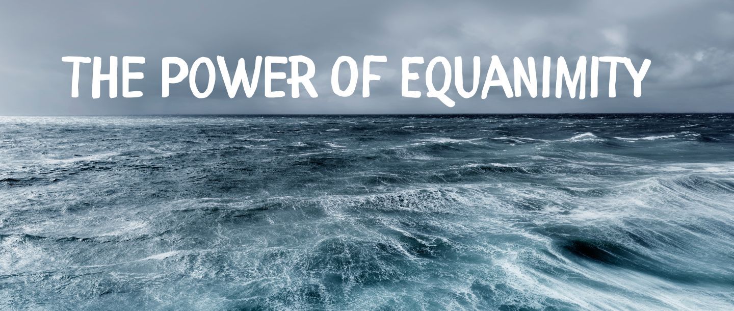 Finding Calm in the Storm: The Power of Equanimity by Rosemary Donnelly