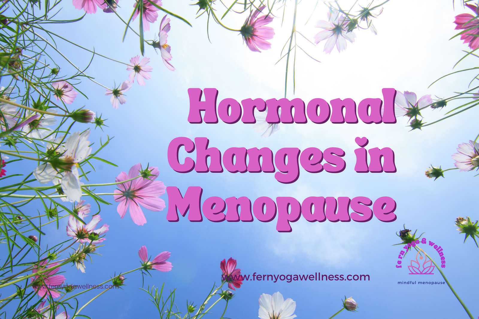 Understanding Hormonal Changes in Perimenopause by Fern Carbonell