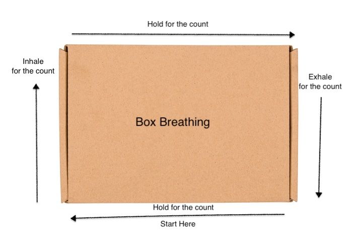 Yogic Breathing & Techniques: Part 1 by Laurie Tenzer