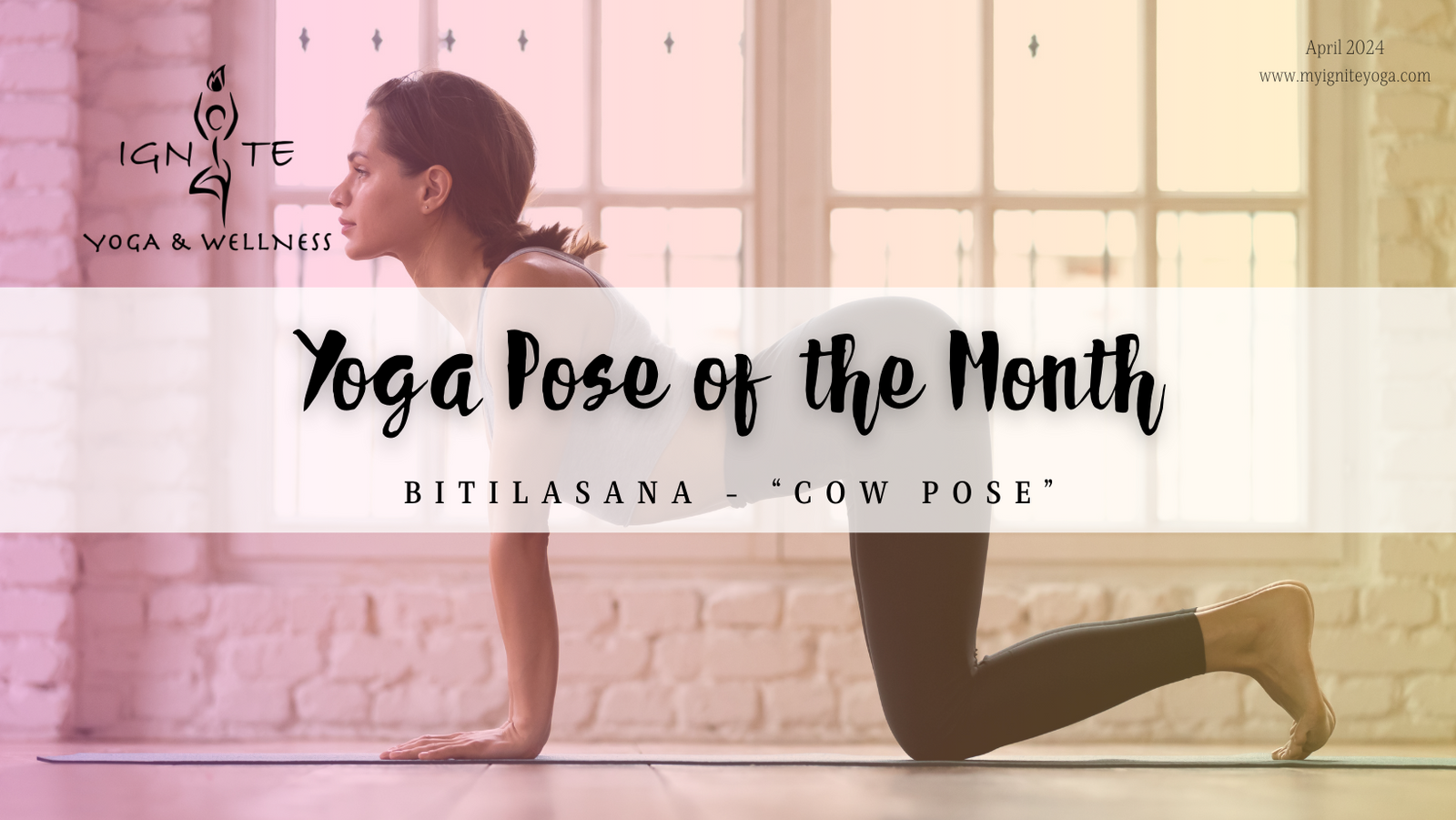 April Yoga Pose of the Month - "Cow Pose" by Ignite Yoga & Wellness