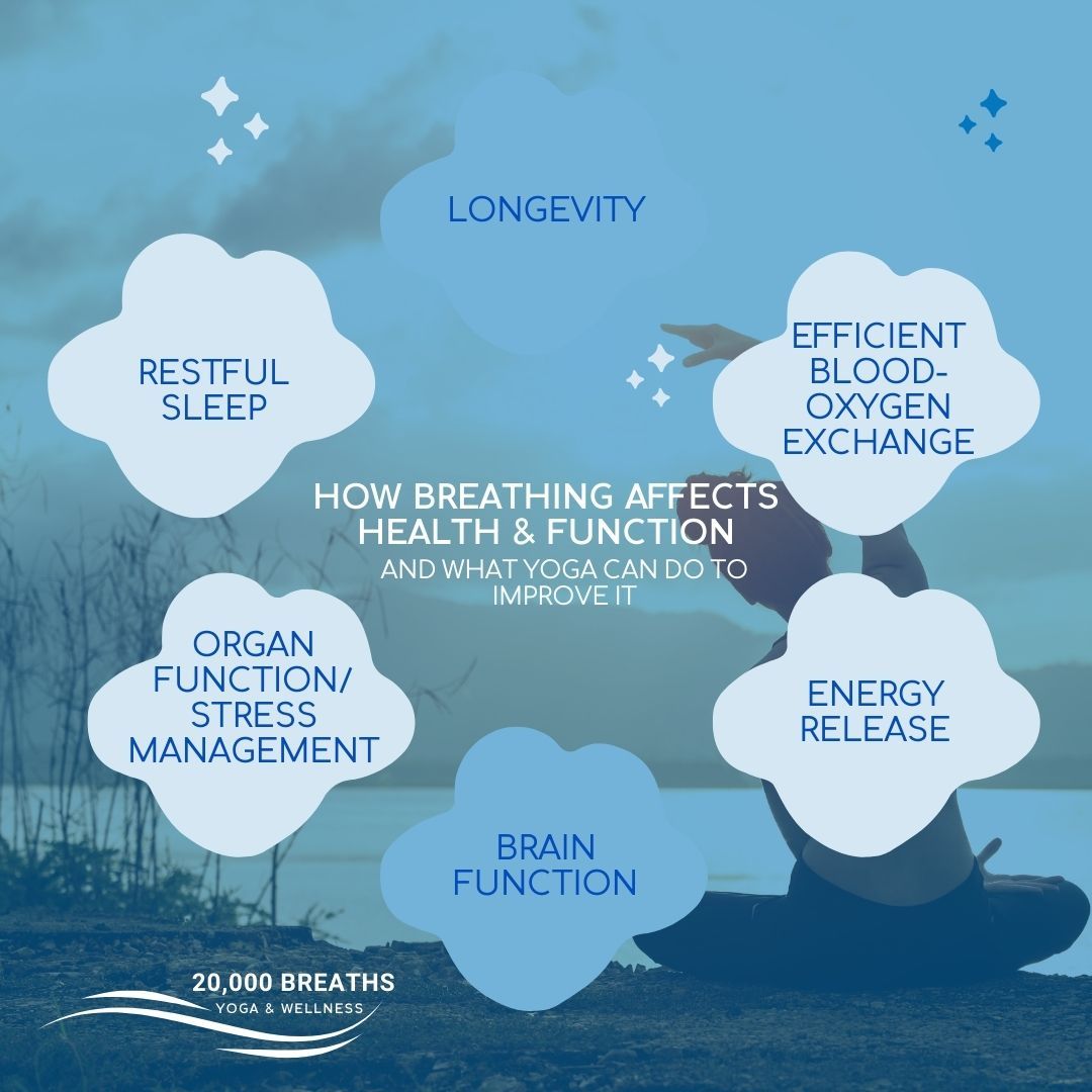 How Breathing Affects Health & Function and What Yoga Can Do to Improve ...