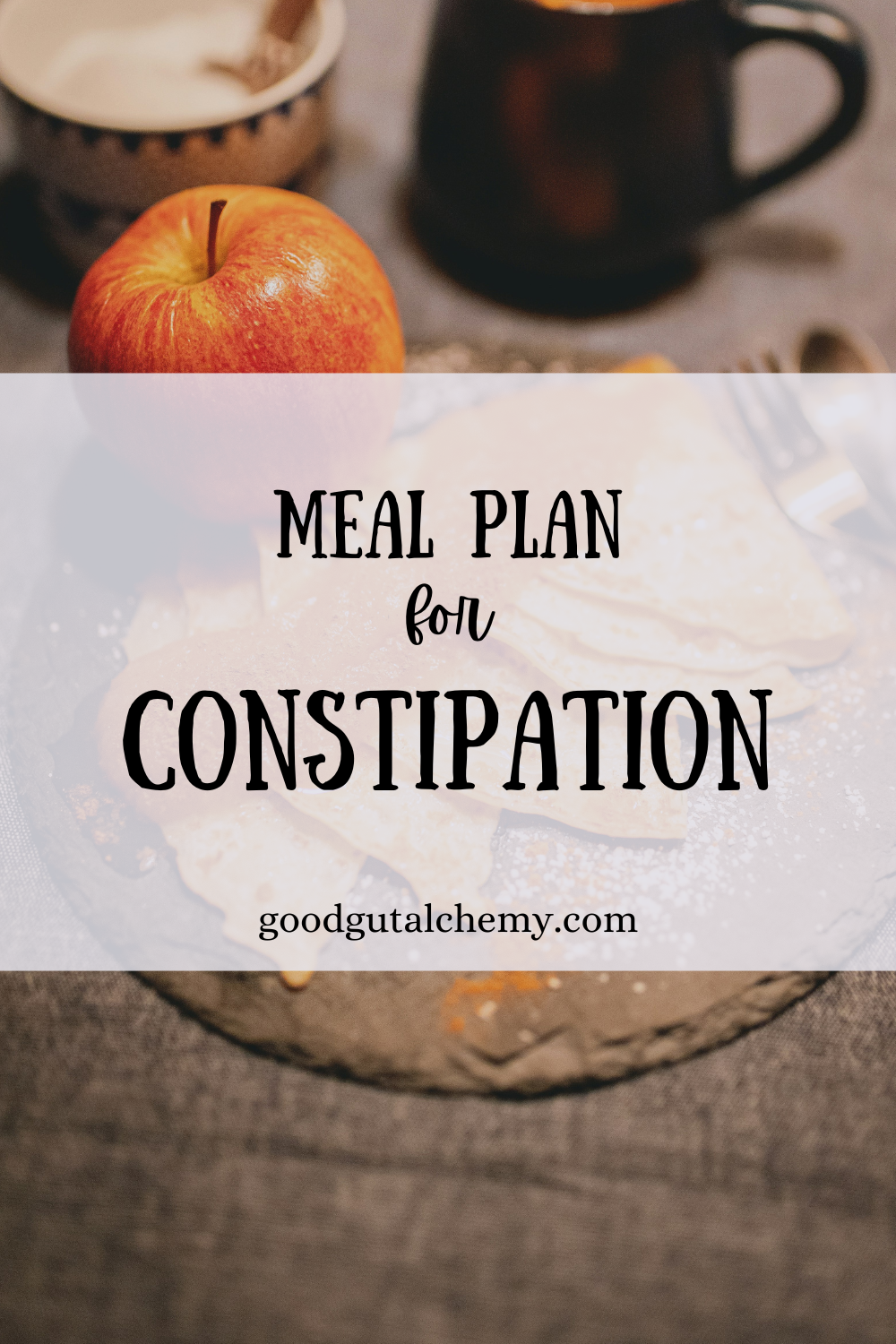 Meal Plan for Constipation by Taruja Borker