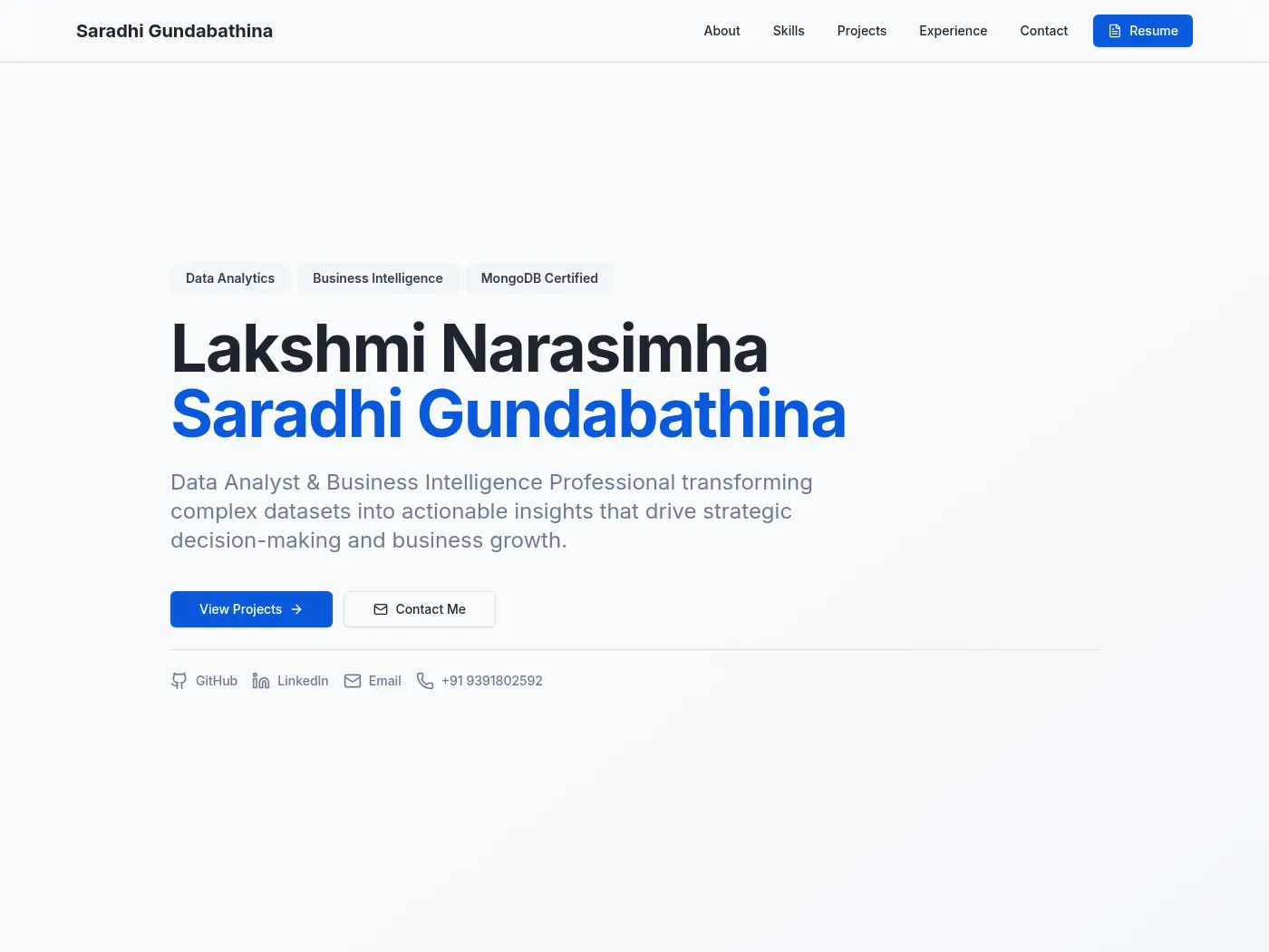 Professional Data Analytics and BI Portfolio Website