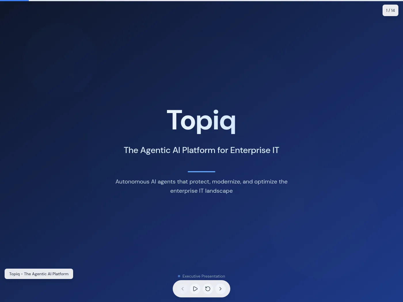 Executive-Level Live Presentation Visualizer