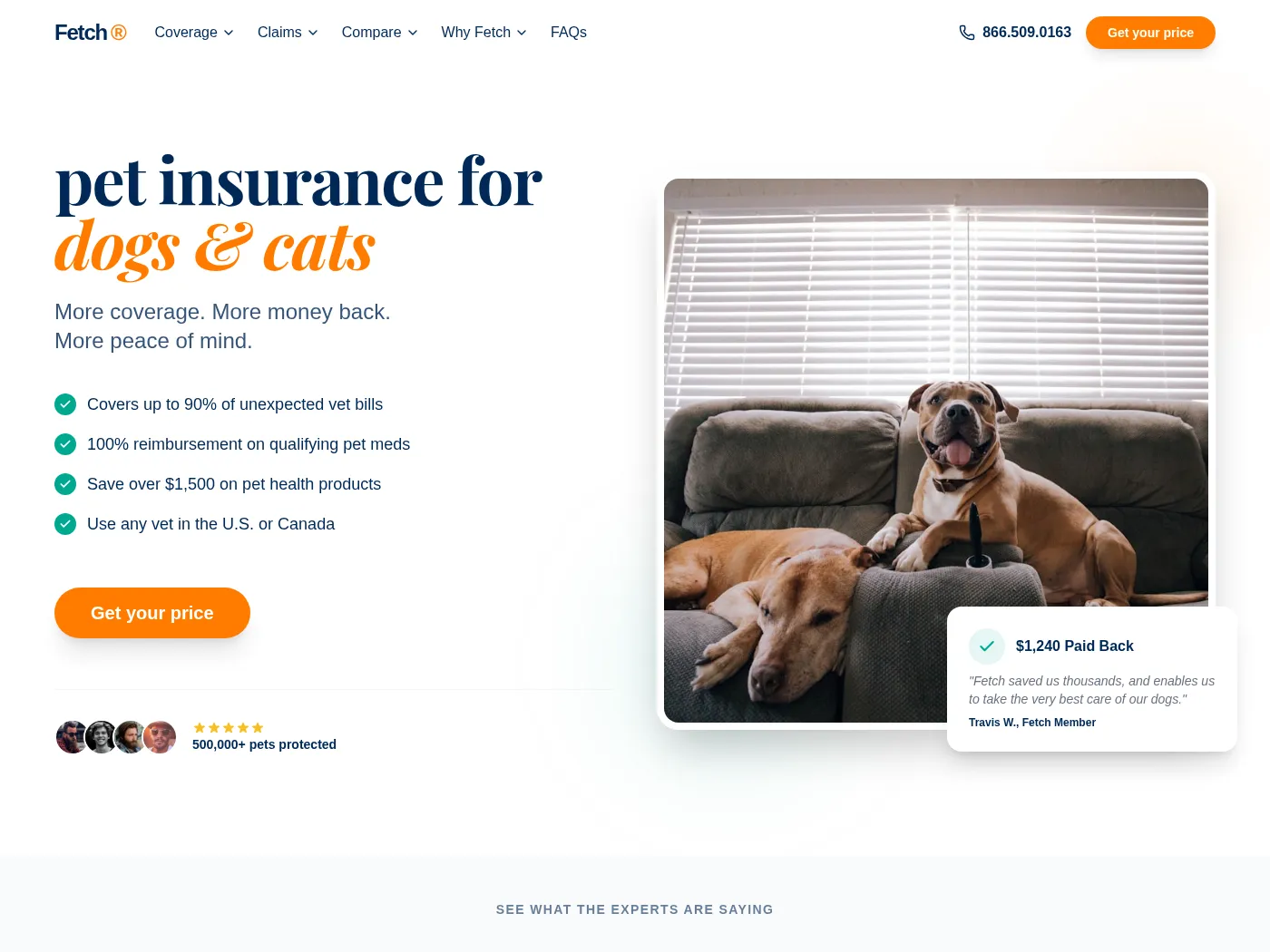Fetch Pet Insurance Clone