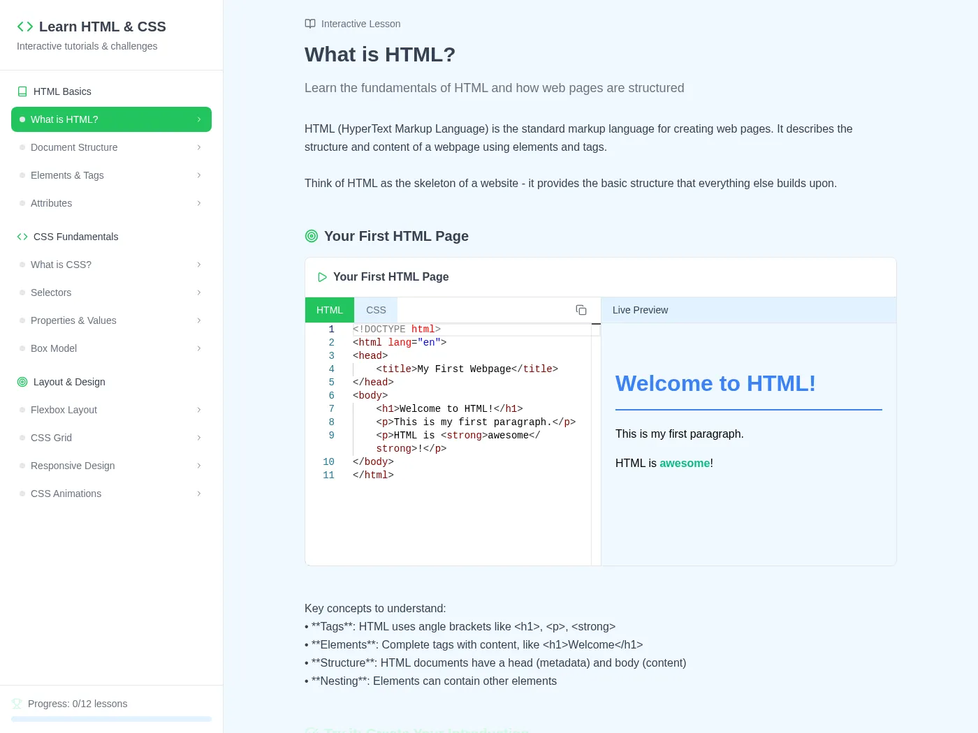 HTML & CSS Interactive Learning Platform