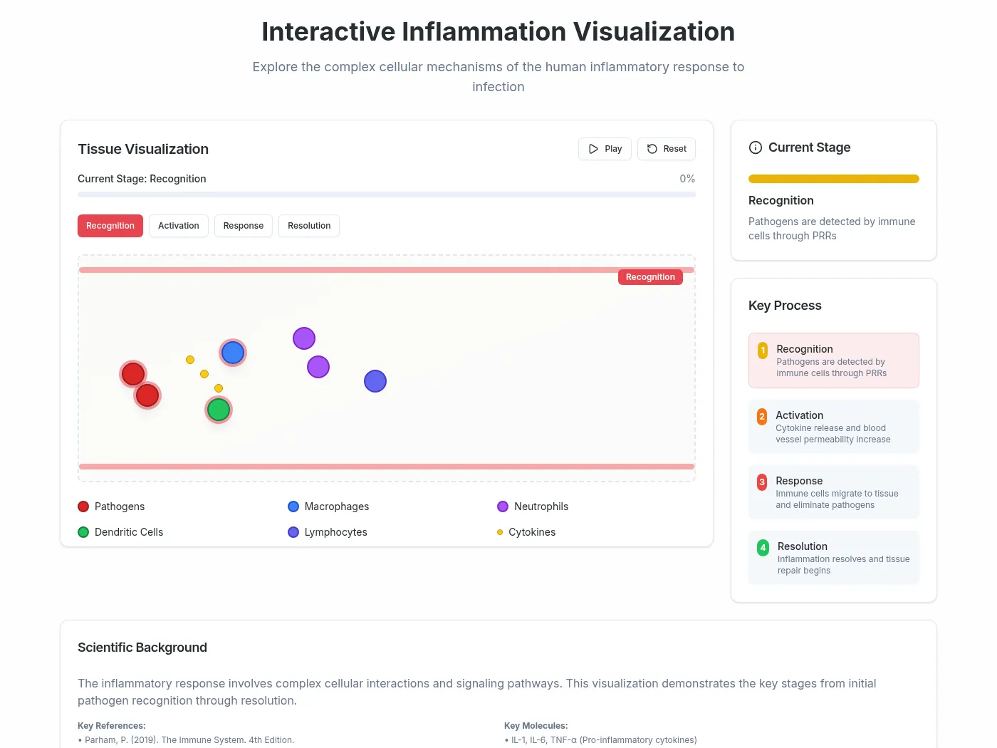 Interactive Visualization of the Human Inflammatory Response