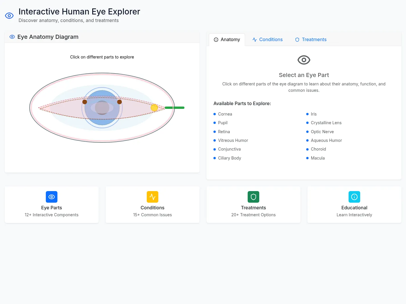 Interactive Human Eye Explorer Web App