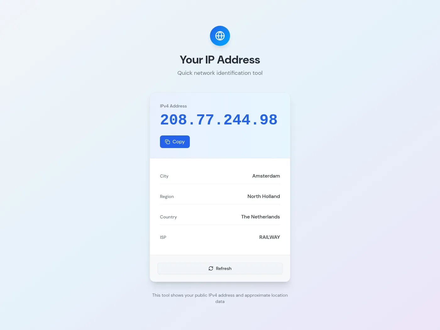 IP Address Display Tool