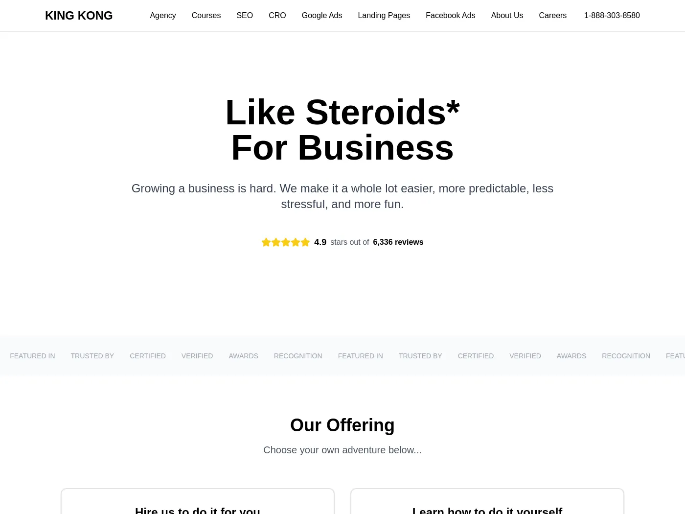 King Kong Agency Website Clone