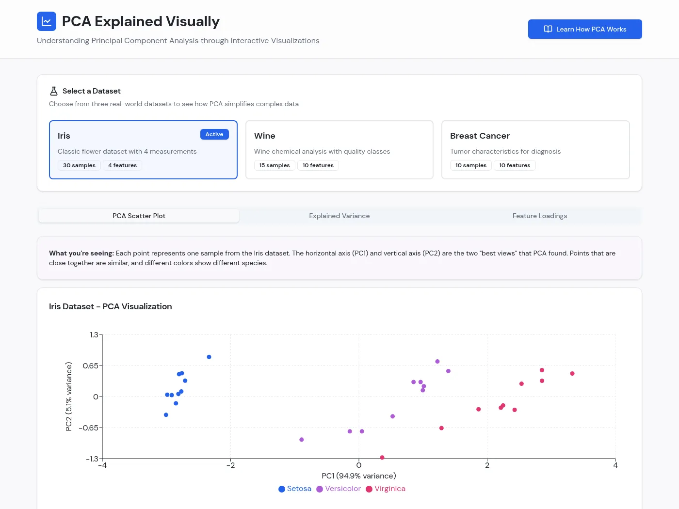 PCA Explainer Web: Visual Interactive Guide for Beginners