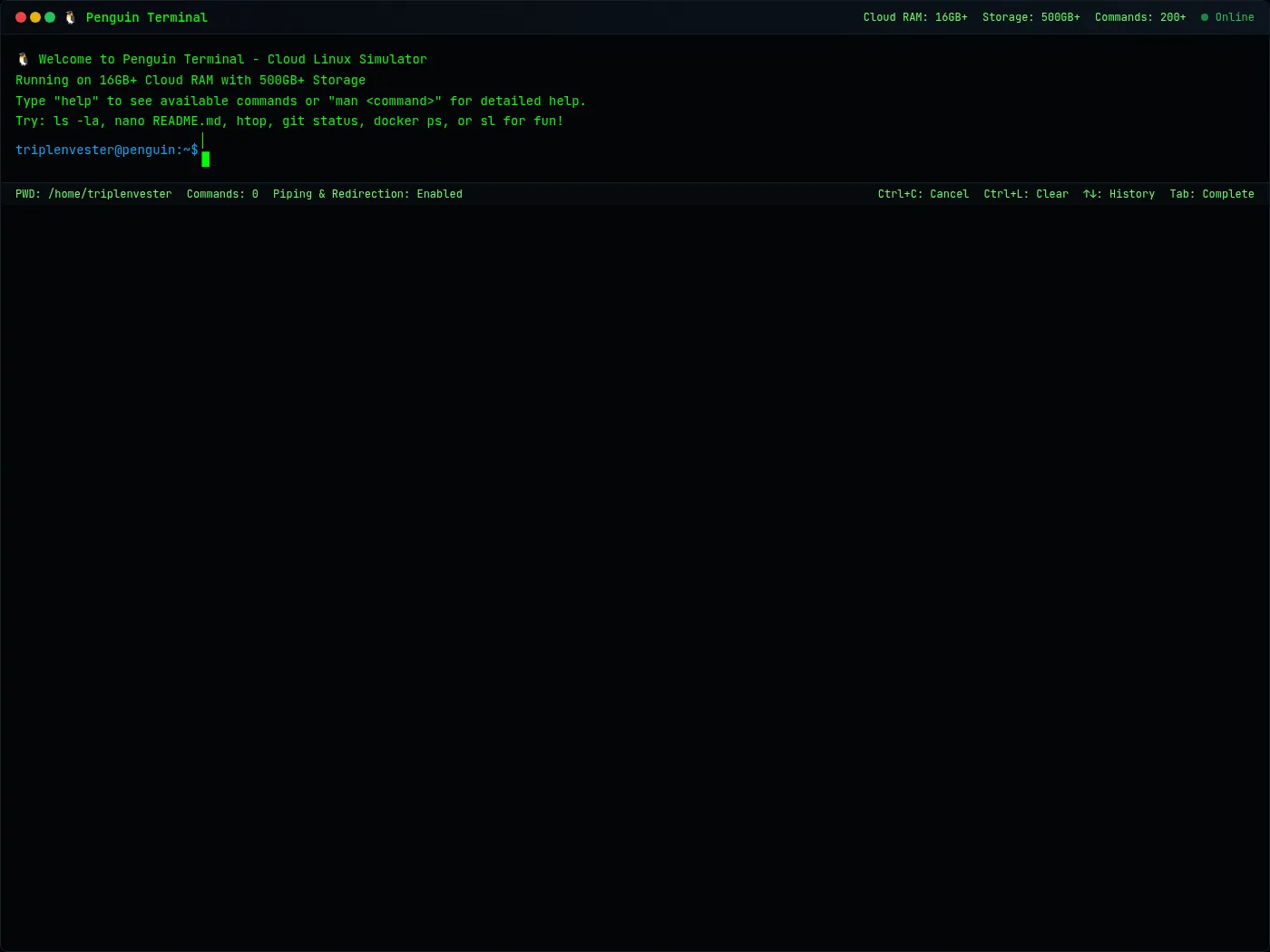 Penguin Terminal: Cloud-Based Authentic Linux Terminal Simulator