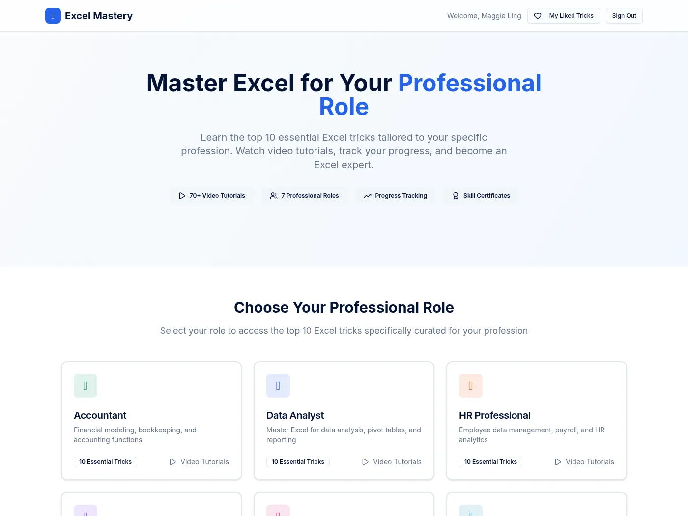 Role-Based Excel Learning Platform