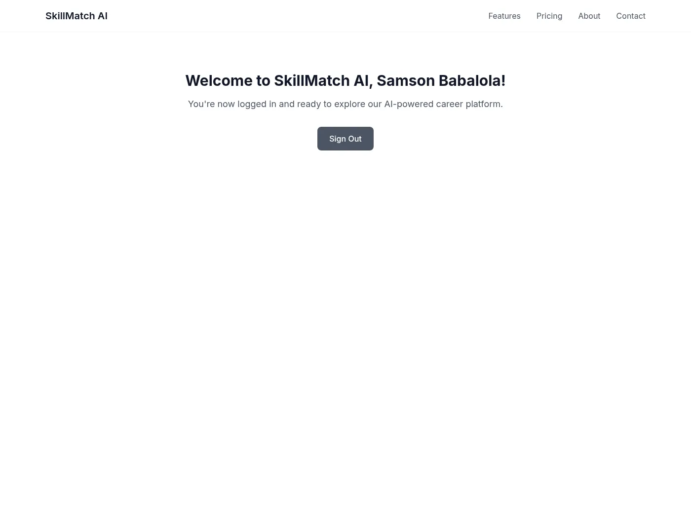 Screenshot-Inspired Professional Website