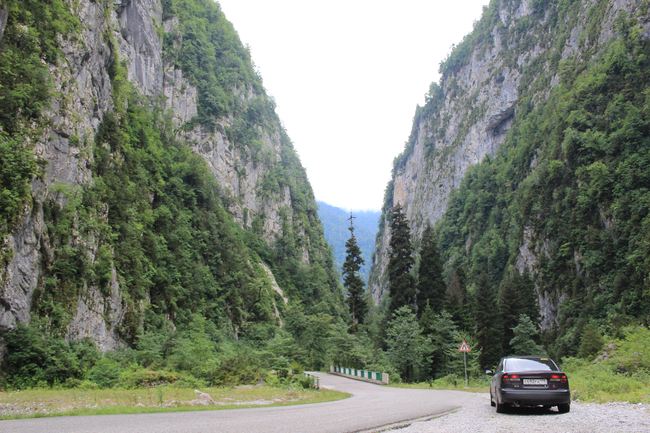 SAWD: description, features, and operating principle