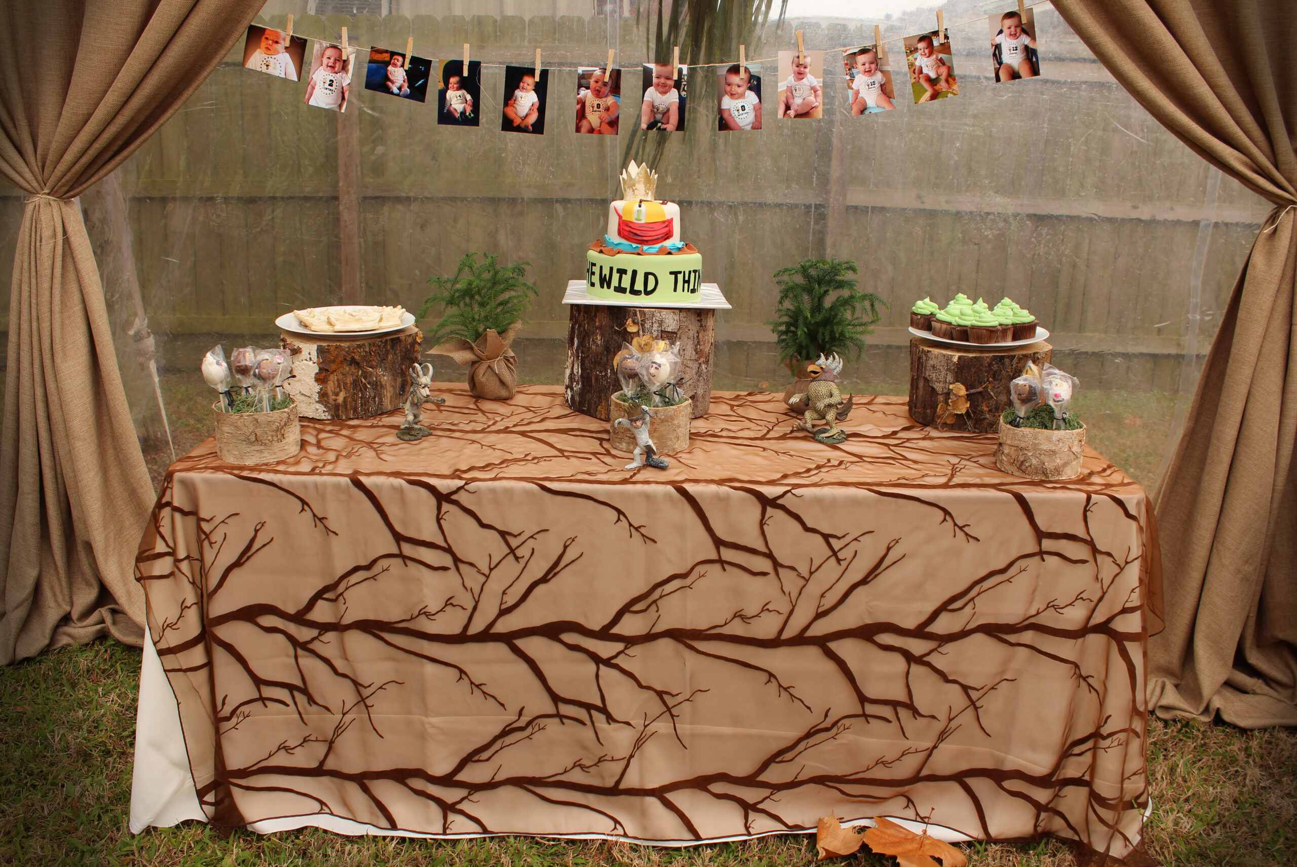 Graham's Wild Rumpus - Project Nursery