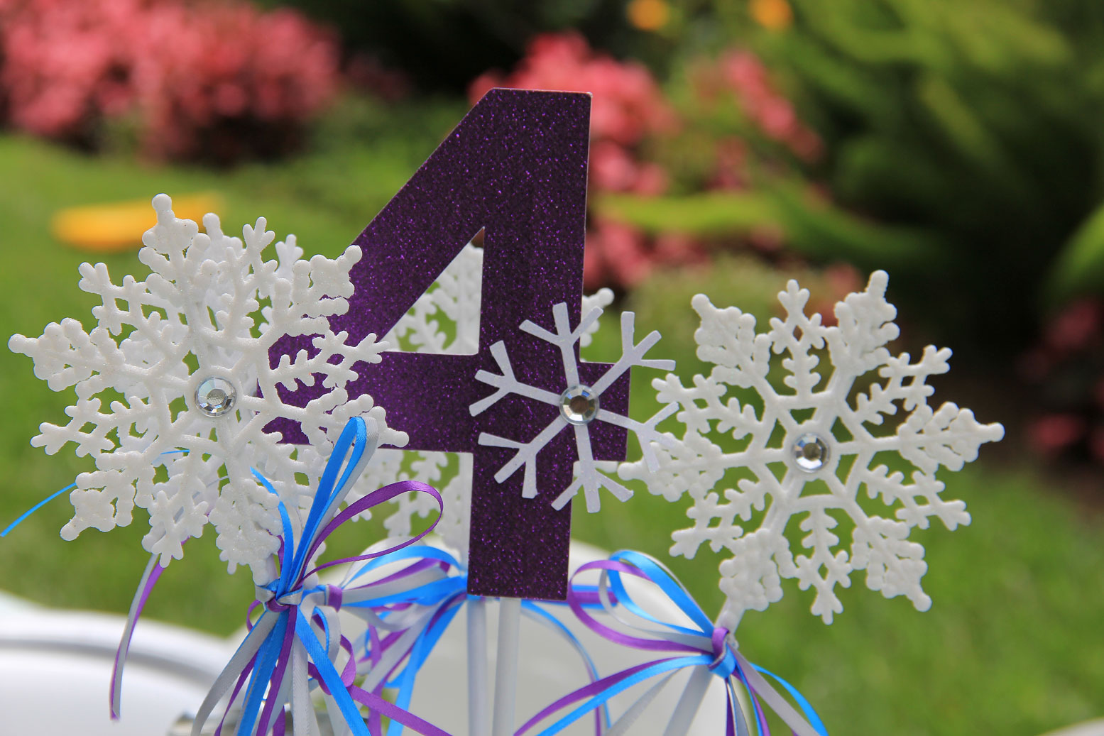 Princess Rowan's "Frozen" Inspired 4th Birthday - Project Nursery