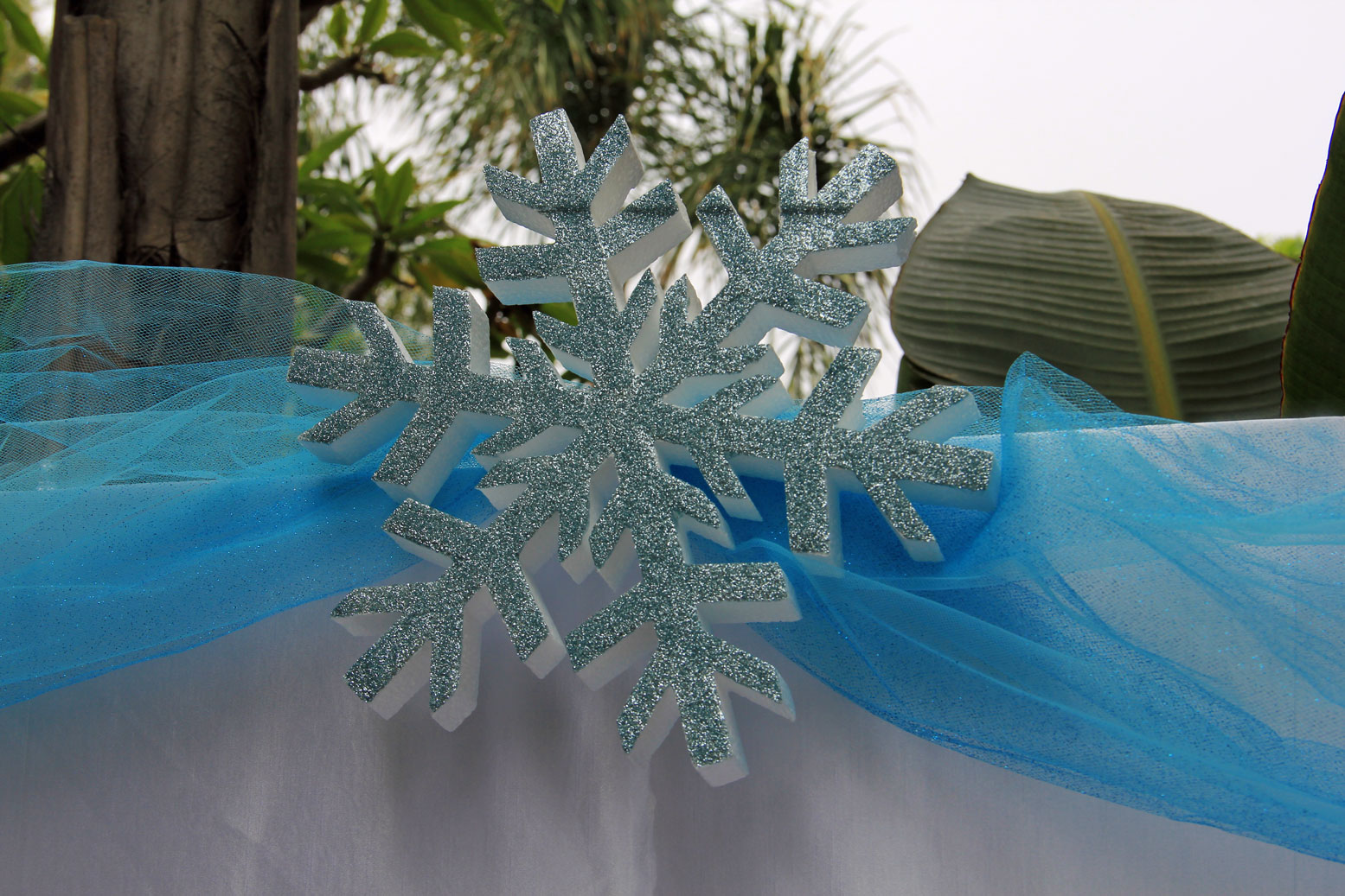 Princess Rowan's "Frozen" Inspired 4th Birthday - Project Nursery