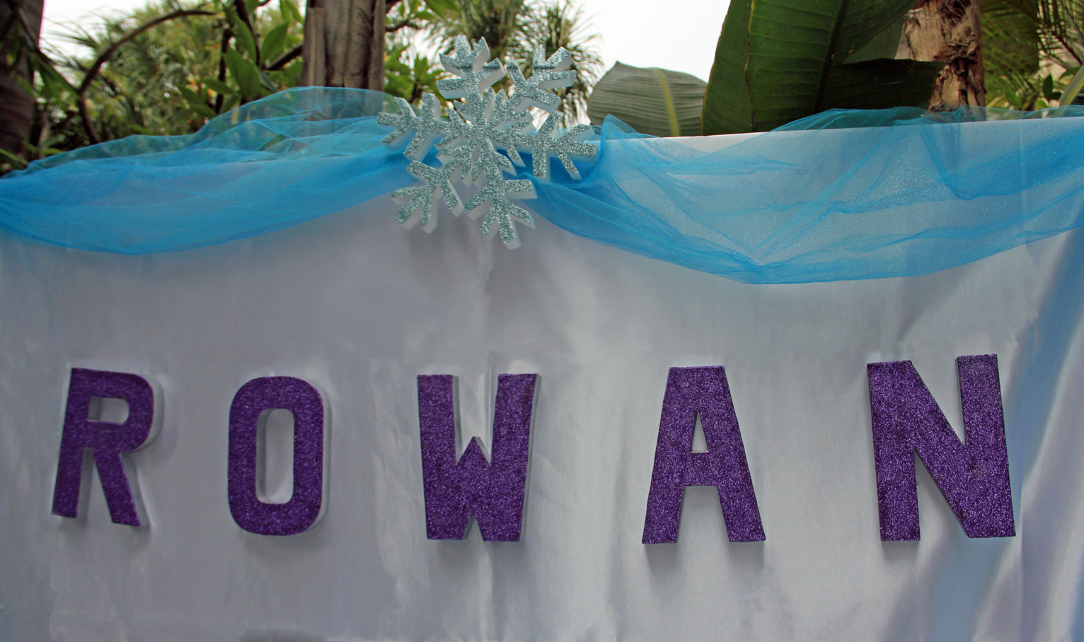 Princess Rowan's "Frozen" Inspired 4th Birthday - Project Nursery