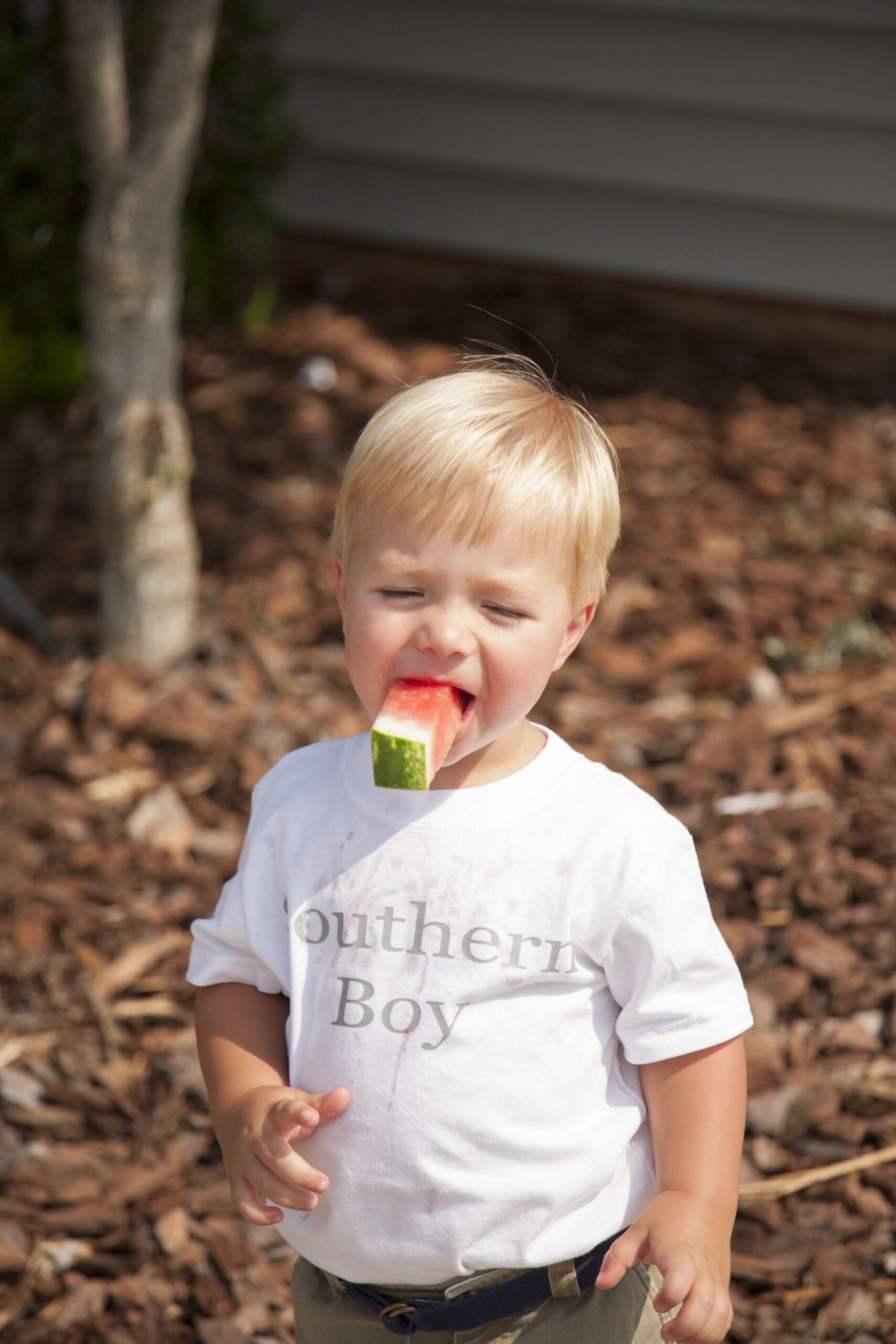 Southern Boy - Project Nursery