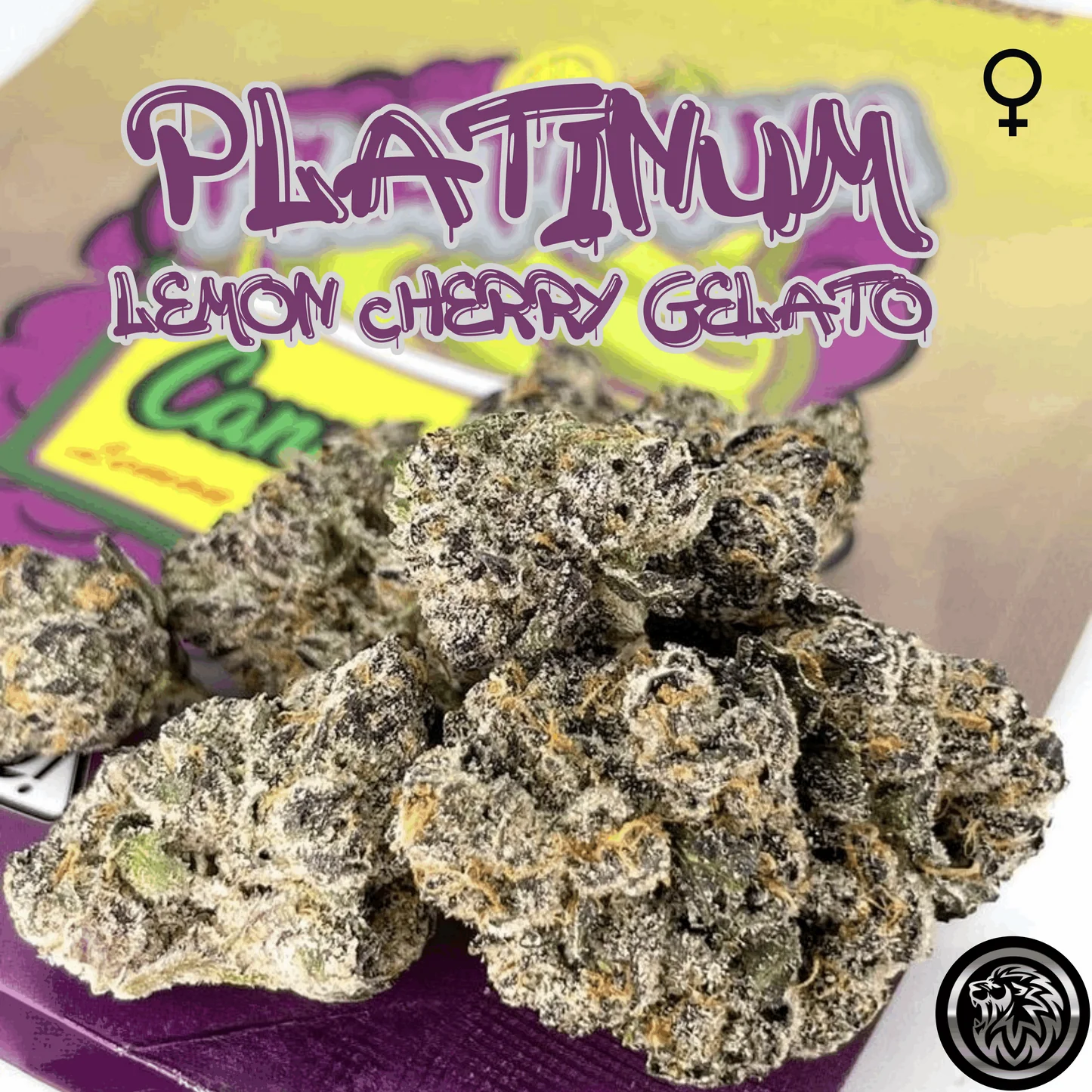 Cannabis Is Done With Candy: Why Savory Terpenes, Landraces, and THCV ...
