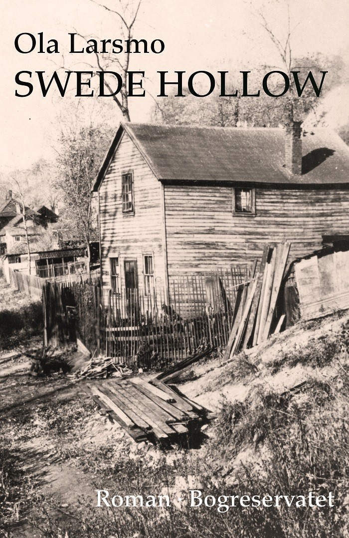 Swede Hollow af Ola Larsmo – anmeldelser og bogpriser - bog.nu