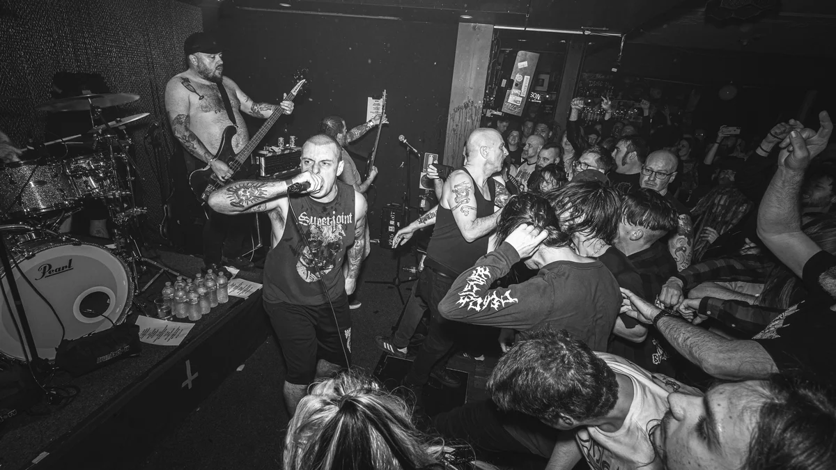 Live Music at The Duke of Enmore, Sydney - Event Details — LINES