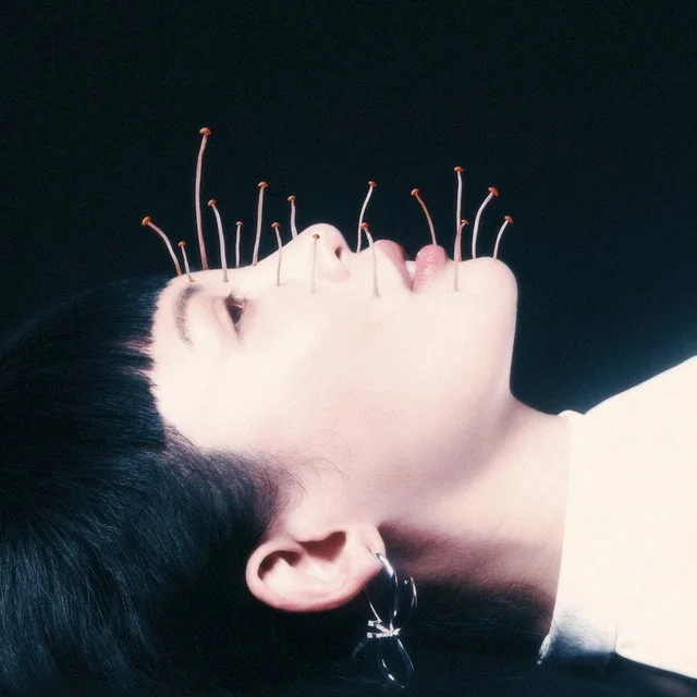 Waa Wei - Upcoming Events, Tickets & Tour Dates — LINES