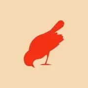 Bird On The Wire - Upcoming Events — LINES