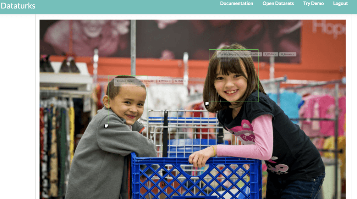 Face Dataset with Age, Emotion, Ethnicity | Kaggle