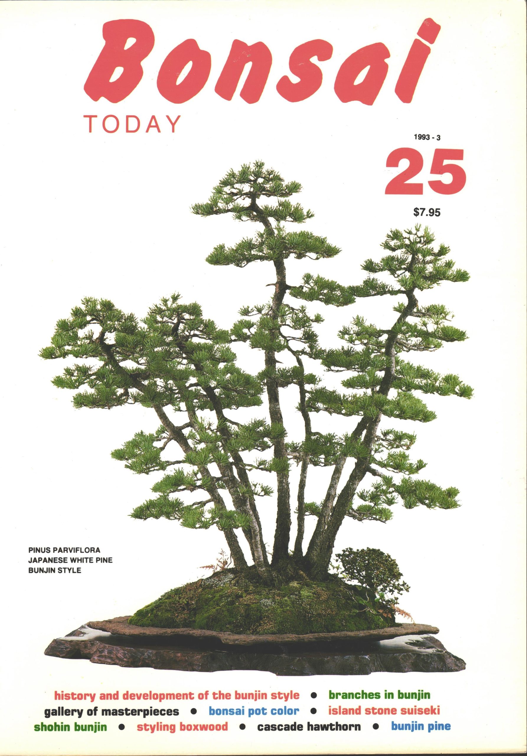 Bonsai Today 25 – Bonsai Today