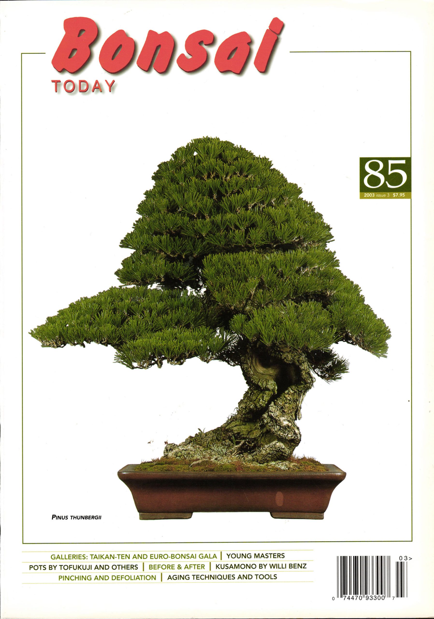 Bonsai Today 85 – Bonsai Today