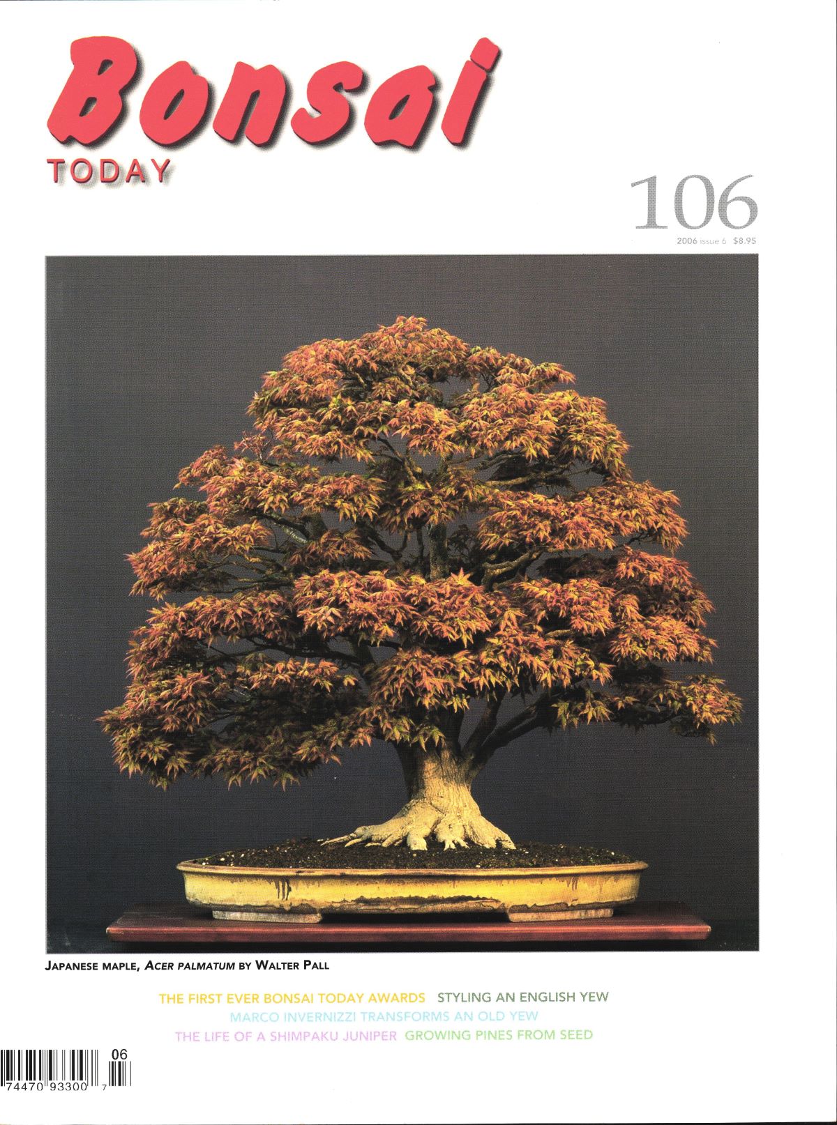 Bonsai Today – Bonsai Today