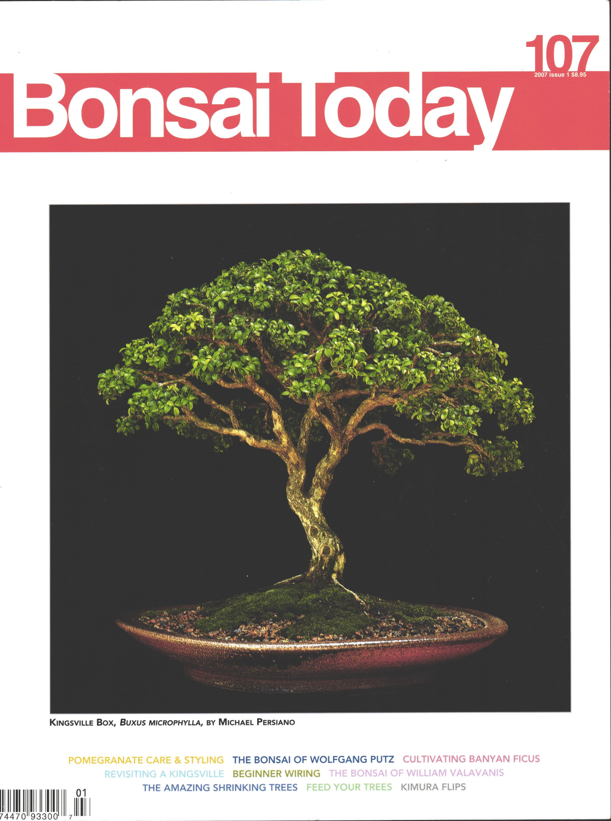 Bonsai Today – Bonsai Today