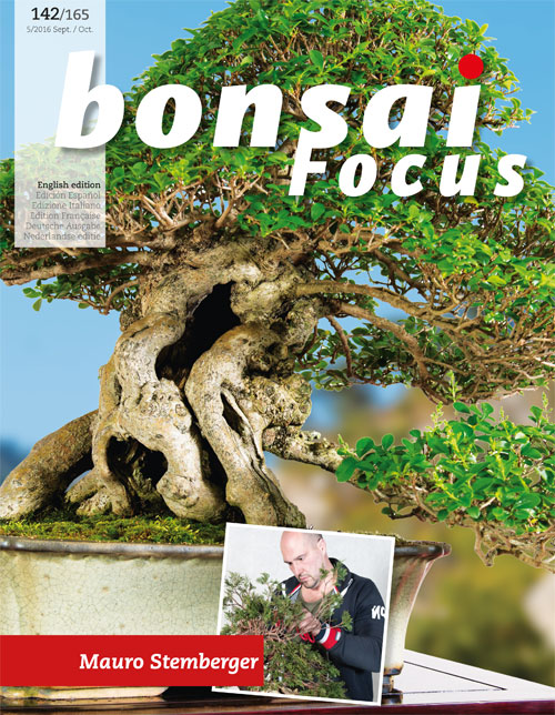 Bonsai Focus 2016-5 – Bonsai Today