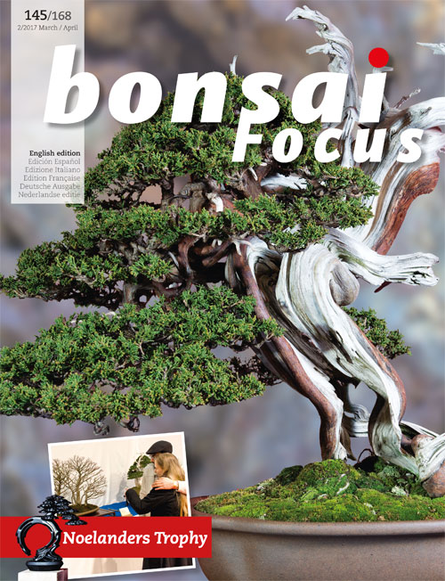 Bonsai Focus 2017-2 – Bonsai Today