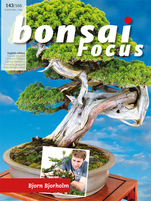 Bonsai Focus 2016-6 – Bonsai Today