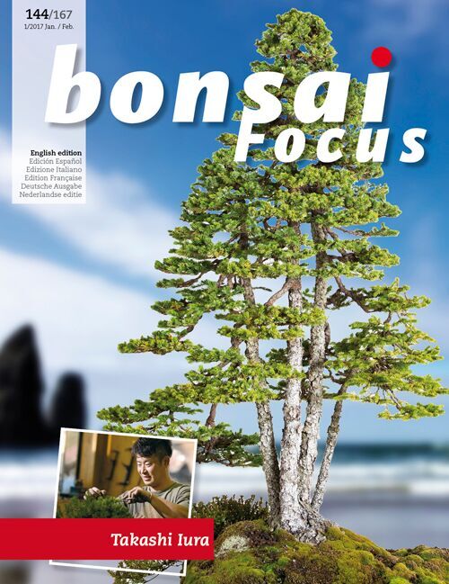 Bonsai Focus 2017-1 – Bonsai Today