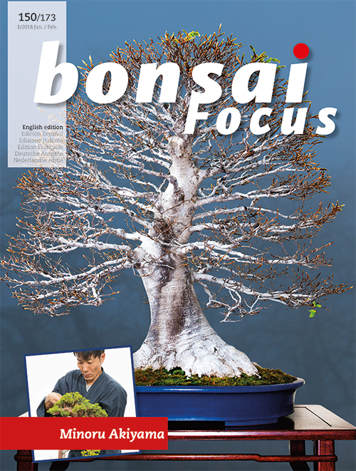 Bonsai Focus 2018-1 – Bonsai Today