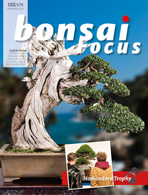 Bonsai Focus 2018-3 – Bonsai Today