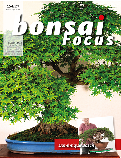 Bonsai Focus 2018-5 – Bonsai Today