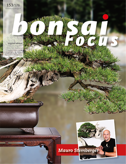 Bonsai Focus 2018-4 – Bonsai Today