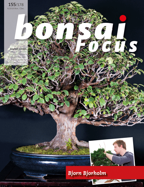 Bonsai Focus 2018-6 – Bonsai Today