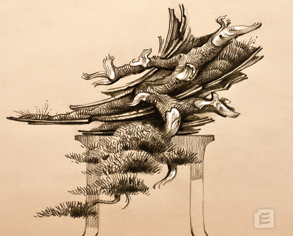 cascade picea hager 07 – Bonsai Today